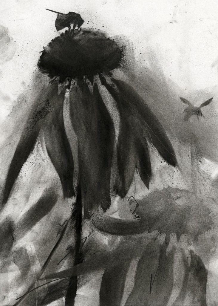June Visual Artist of the Month – Christopher Owen Smith – Heights Arts